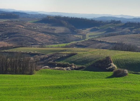 Visit Petrinja | Petrinja